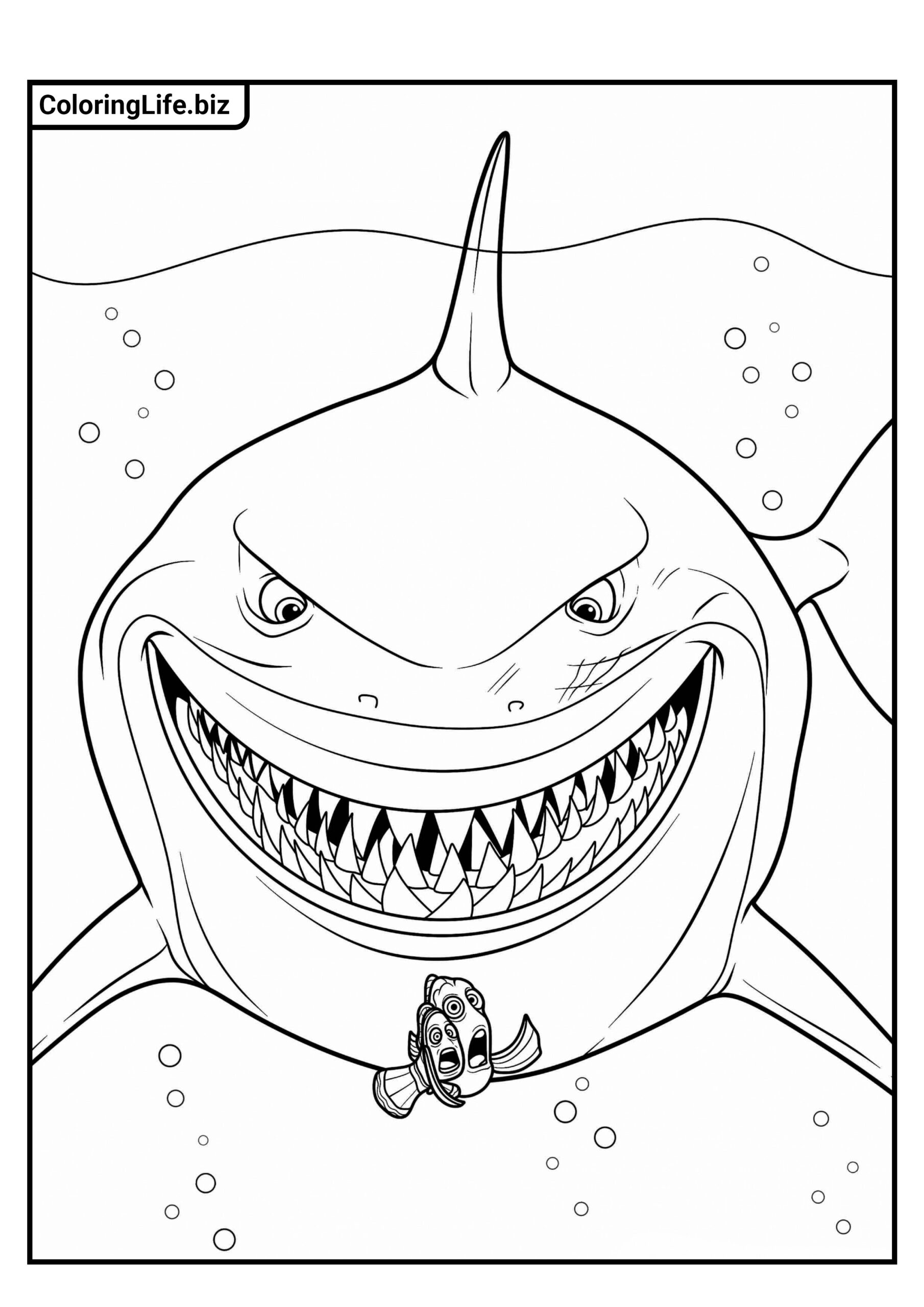 Ausmalbilder Findet Nemo